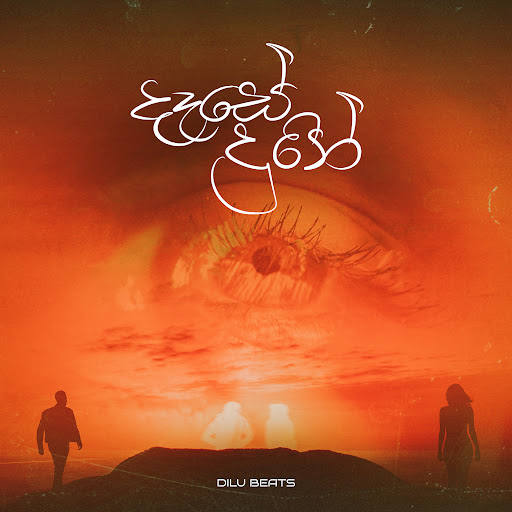 Dilu Beats - Sri Lankan Music Producer